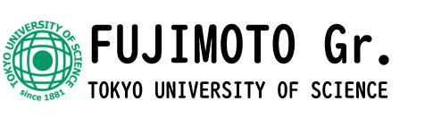 Alumni | Member | Fujimoto group